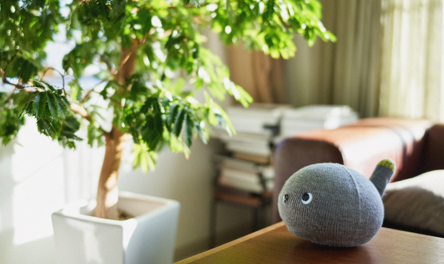 Conoce a NICOBO, la adorable mascota robot - Sopitas USA