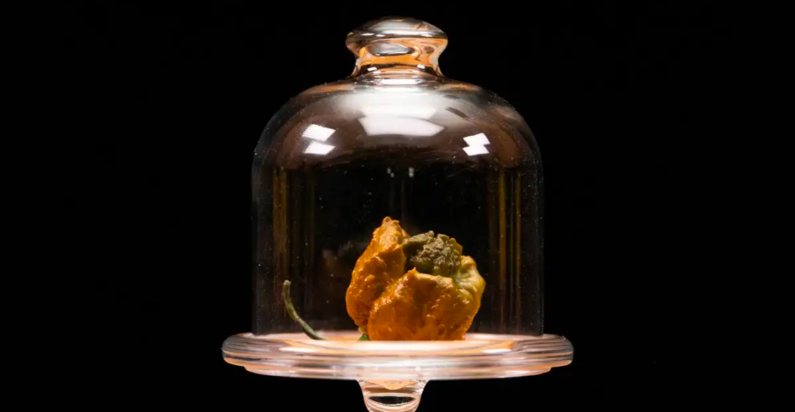 Pepper X: Te presentamos al chile más picante del mundo - Sopitas USA