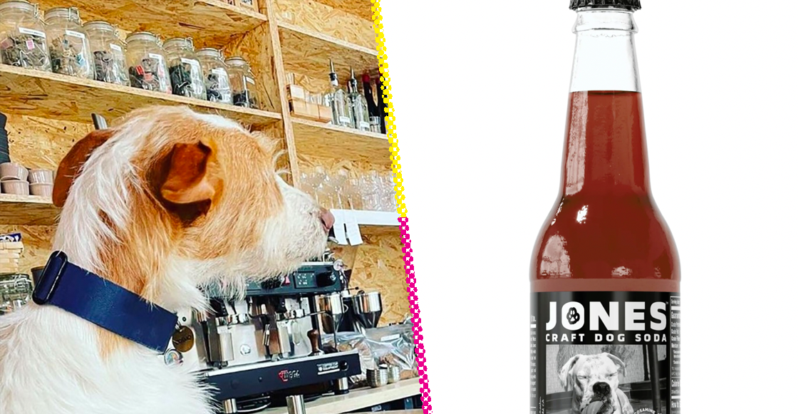 ¿Refresco para perros? Aquí te contamos sobre esta peculiar —y costosa ...